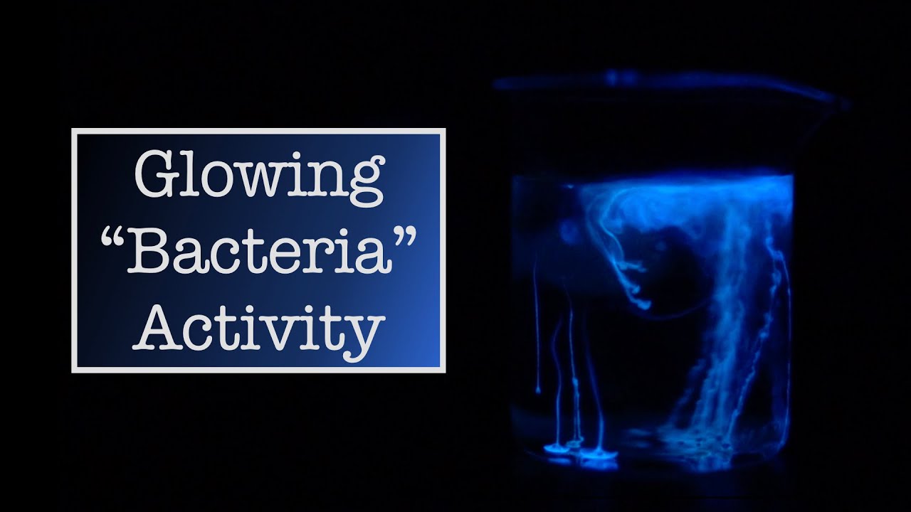 Super Simple "Glowing Bacteria" in Class - YouTube