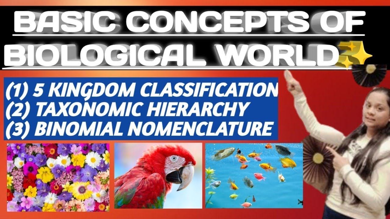 5 Kingdom Classification , Taxonomic Hierarchy & Binomial Nomenclature ...