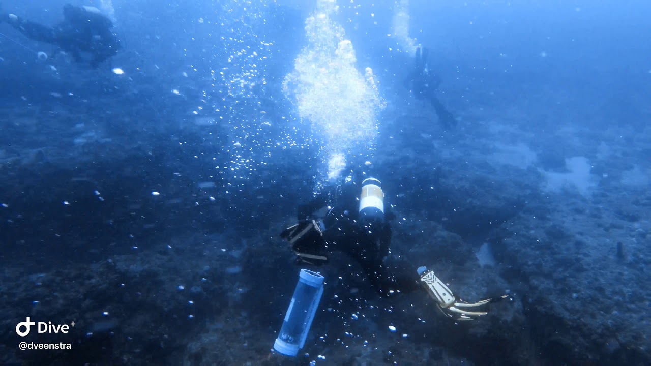 Drift Dive (Part 3), Jupiter, FL, drift Dive, May 31, 2020 - YouTube