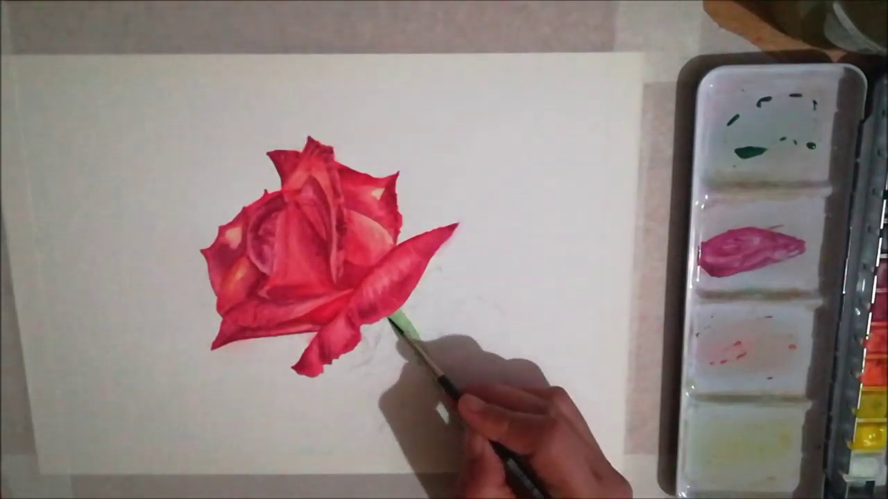 Rote Rosen malen-How to paint red rose in watercolor-สีน้ำกุหลาบแดง ...