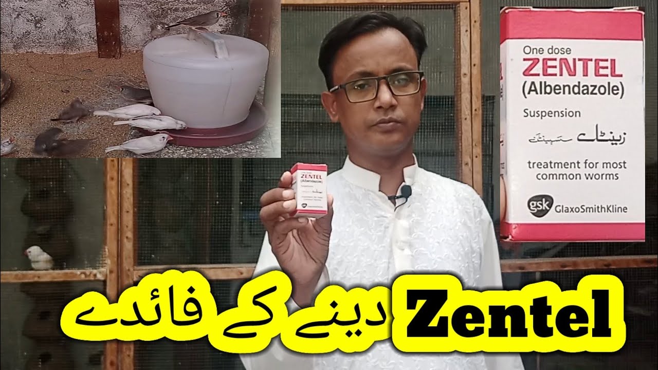 Advantages of Zentel - YouTube