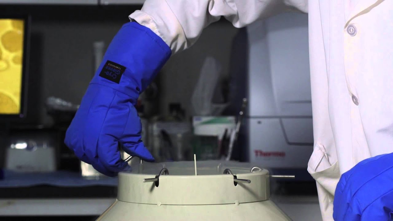 Preparing Your Cells For Cryopreservation - YouTube