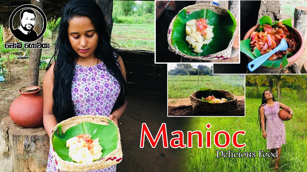 Manioc - Delicious diet cooking in natural environment - YouTube