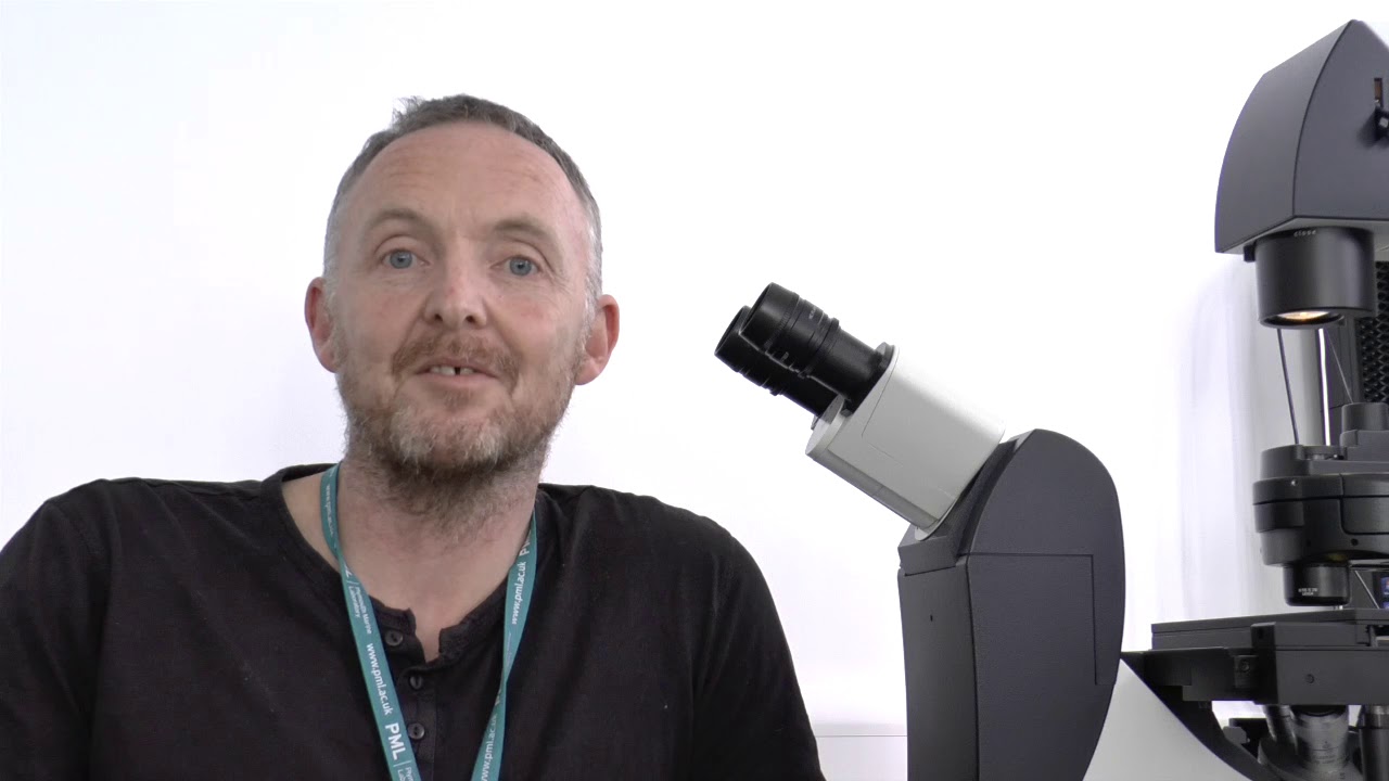 Training the next generation of marine scientists with the University ...