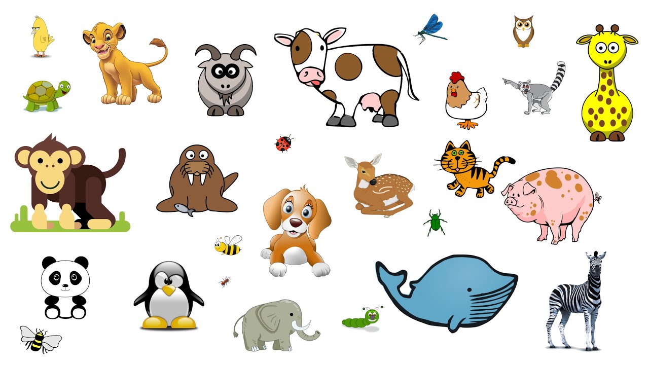 Tiere für Kinder - Lernvideos mit Tierstimmen für Kleinkinder auf ...