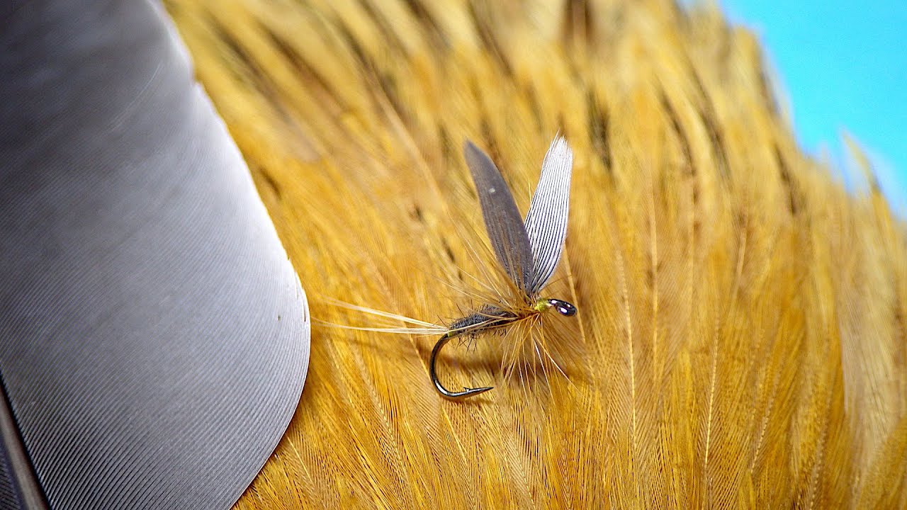 Tying a Light Ginger Dun Dry Fly with Davie McPhail - YouTube