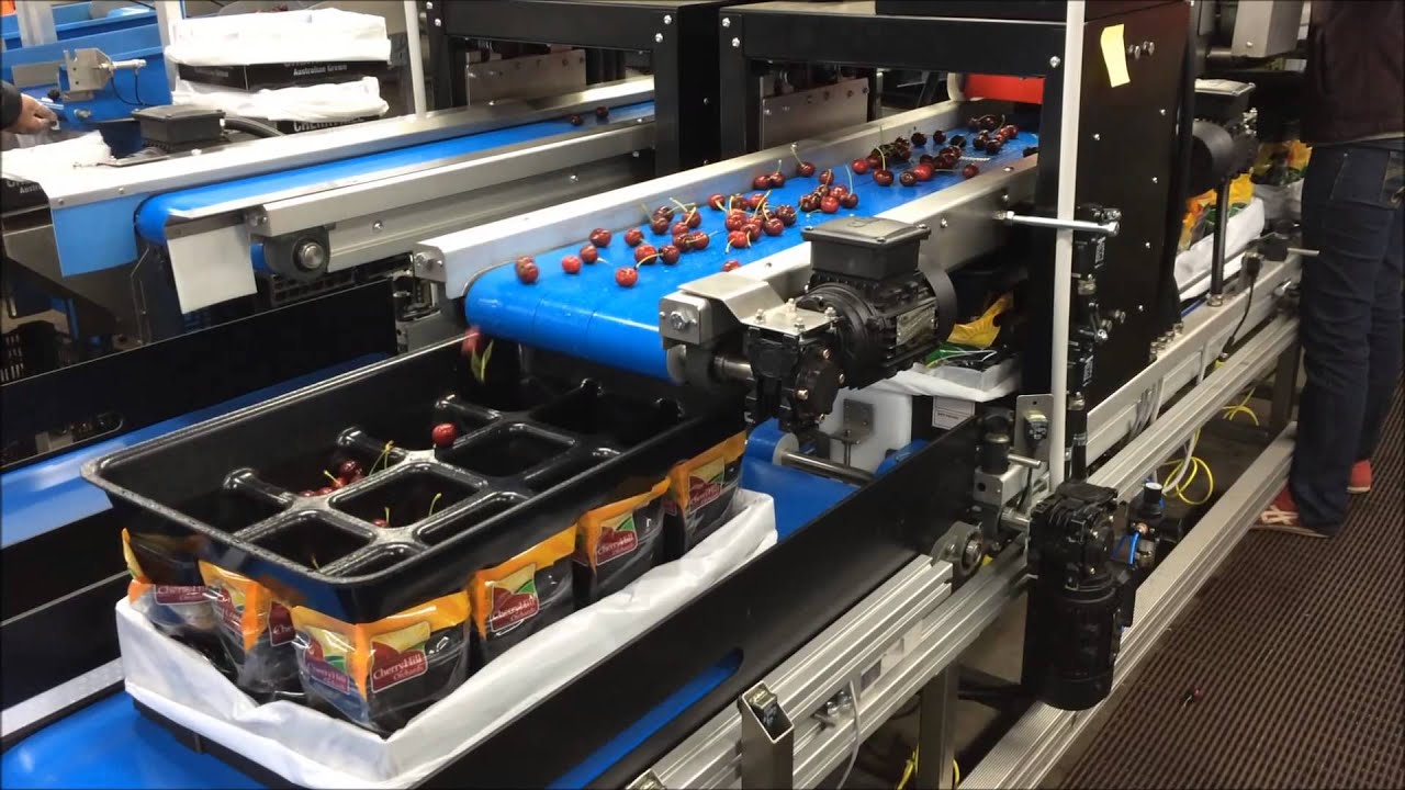 GP Graders - Cherry auto carton fillers - YouTube