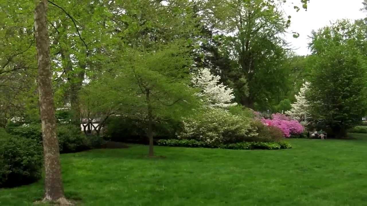 Walking Through the Azalea Garden Behind the Art Museum in Philadelphia ...