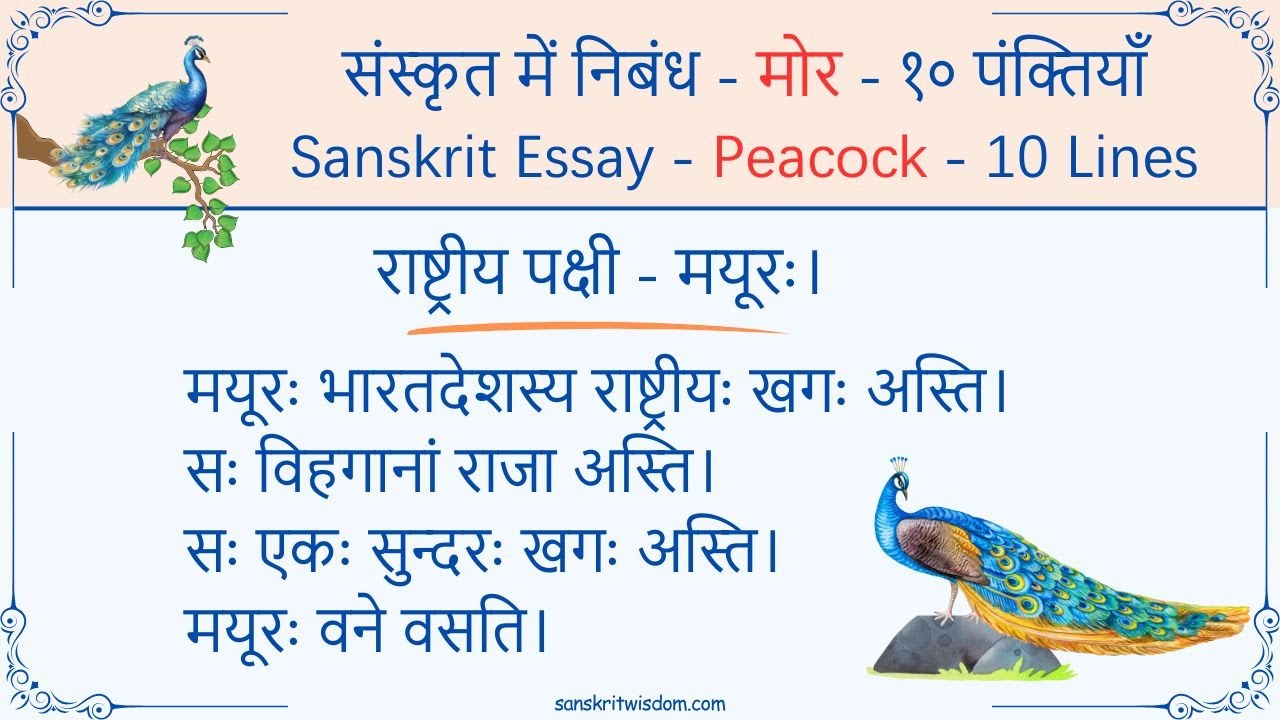Sanskrit Essay on Peacock | मोर पर निबंध संस्कृत में | मोर पर संस्कृत ...
