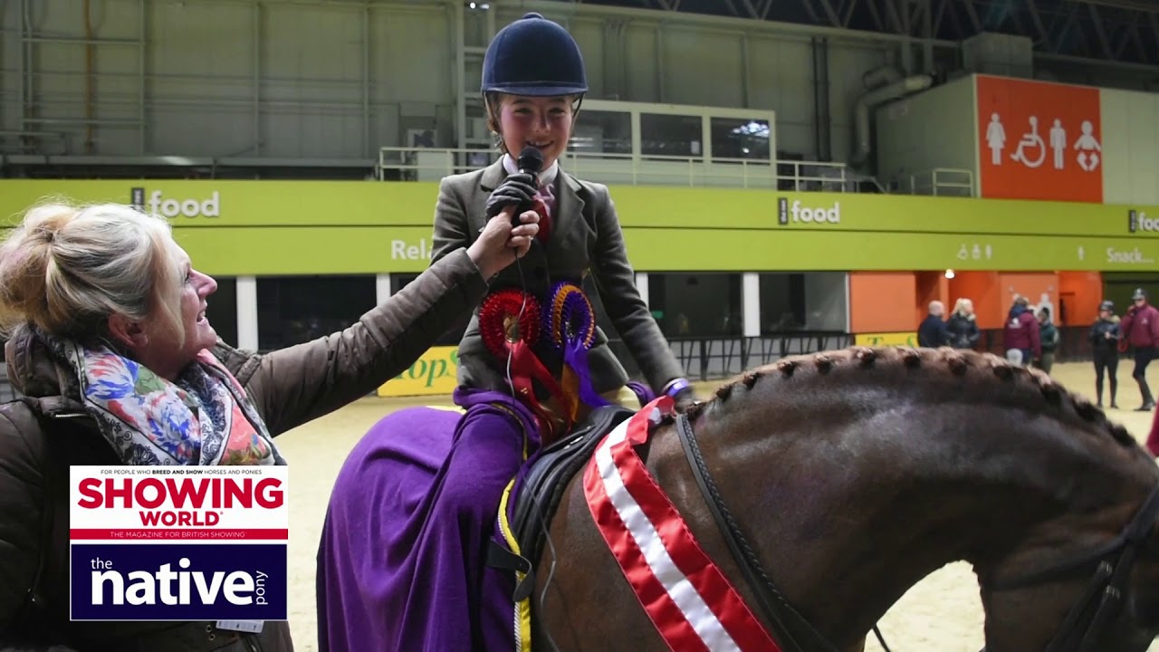 Binks Family 133cm Show Hunter Pony - YouTube