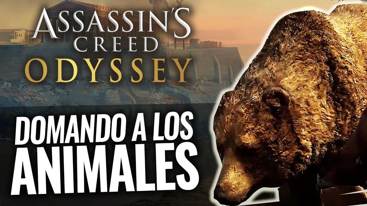 Assassin's Creed Odyssey | Cómo DOMAR A LOS ANIMALES (Todo sobre su ...