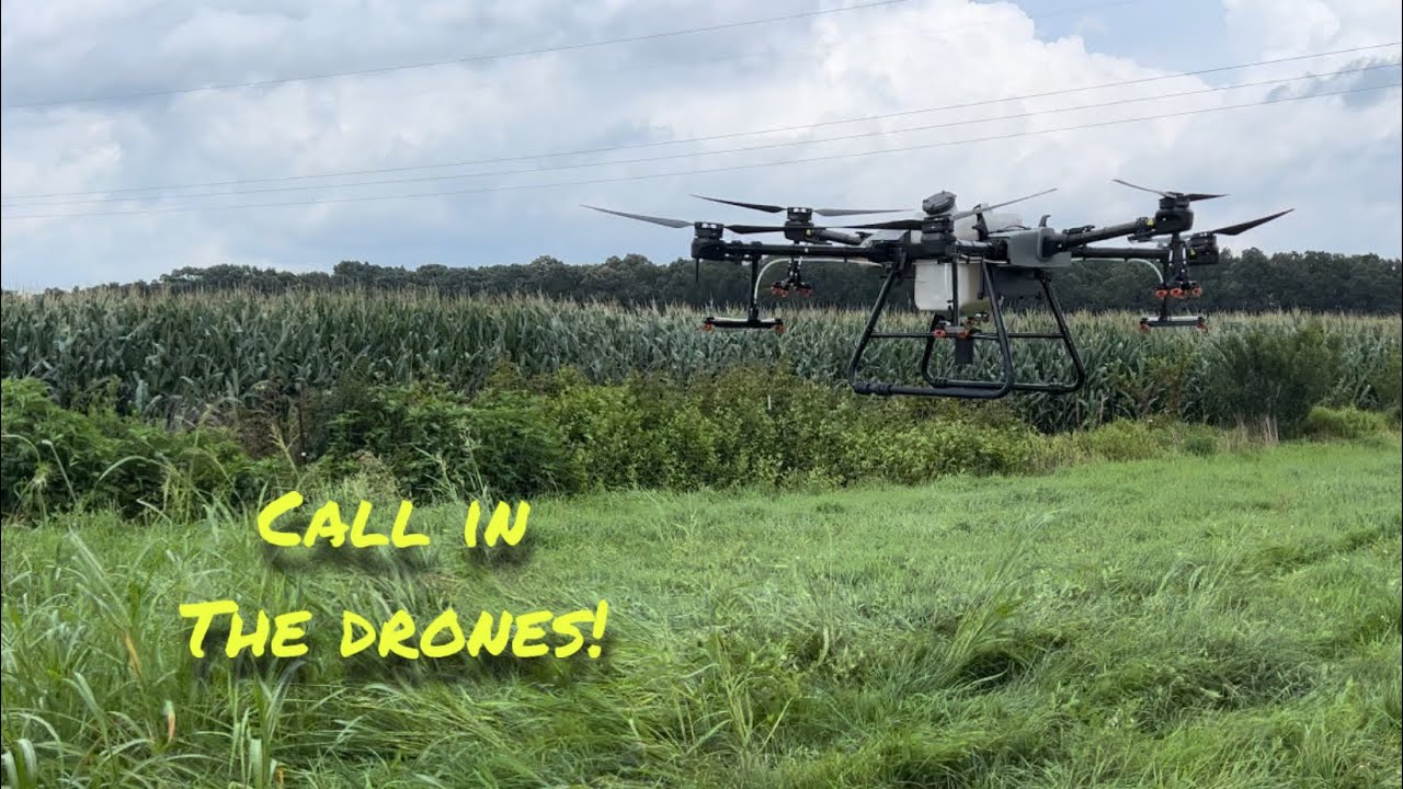 Big Yields? Let’s Do Some Math! - YouTube