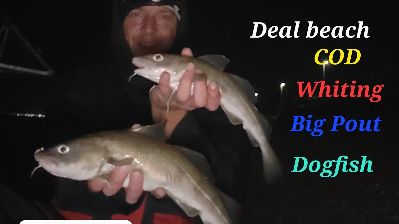 Fishing Deal Kent 6/10/2022 Cod/Big Pouting/Whiting and Dogfish - YouTube