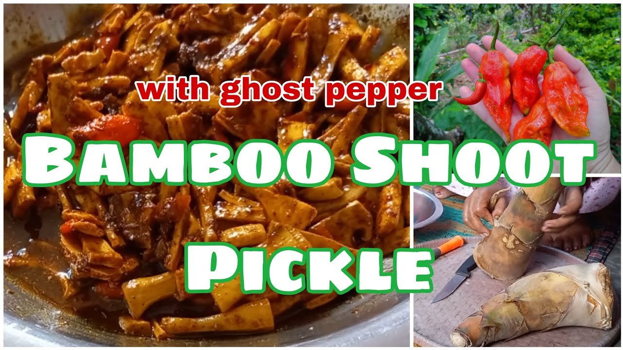 Bamboo Shoot Pickle | Easiest Receipe - YouTube
