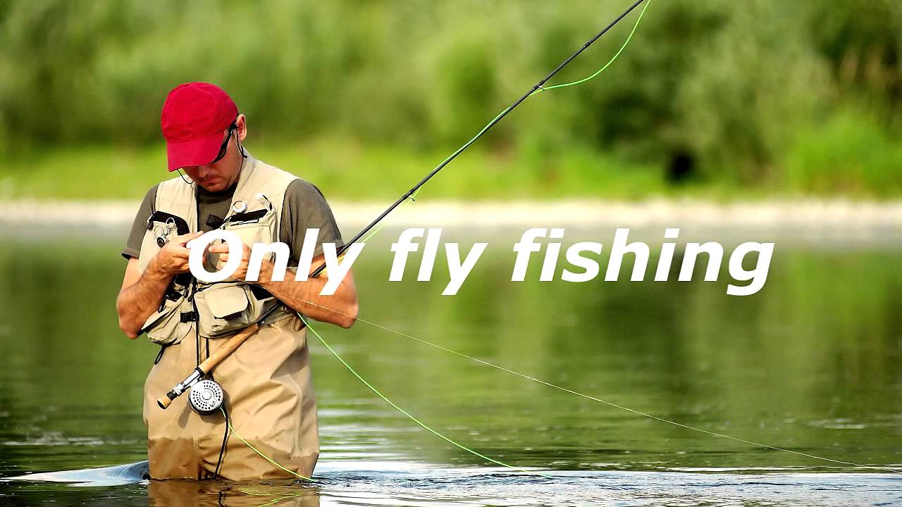 Only fly fishing-Ловля судака и жереха нахлыстом теория (Дмитрий Волжин ...