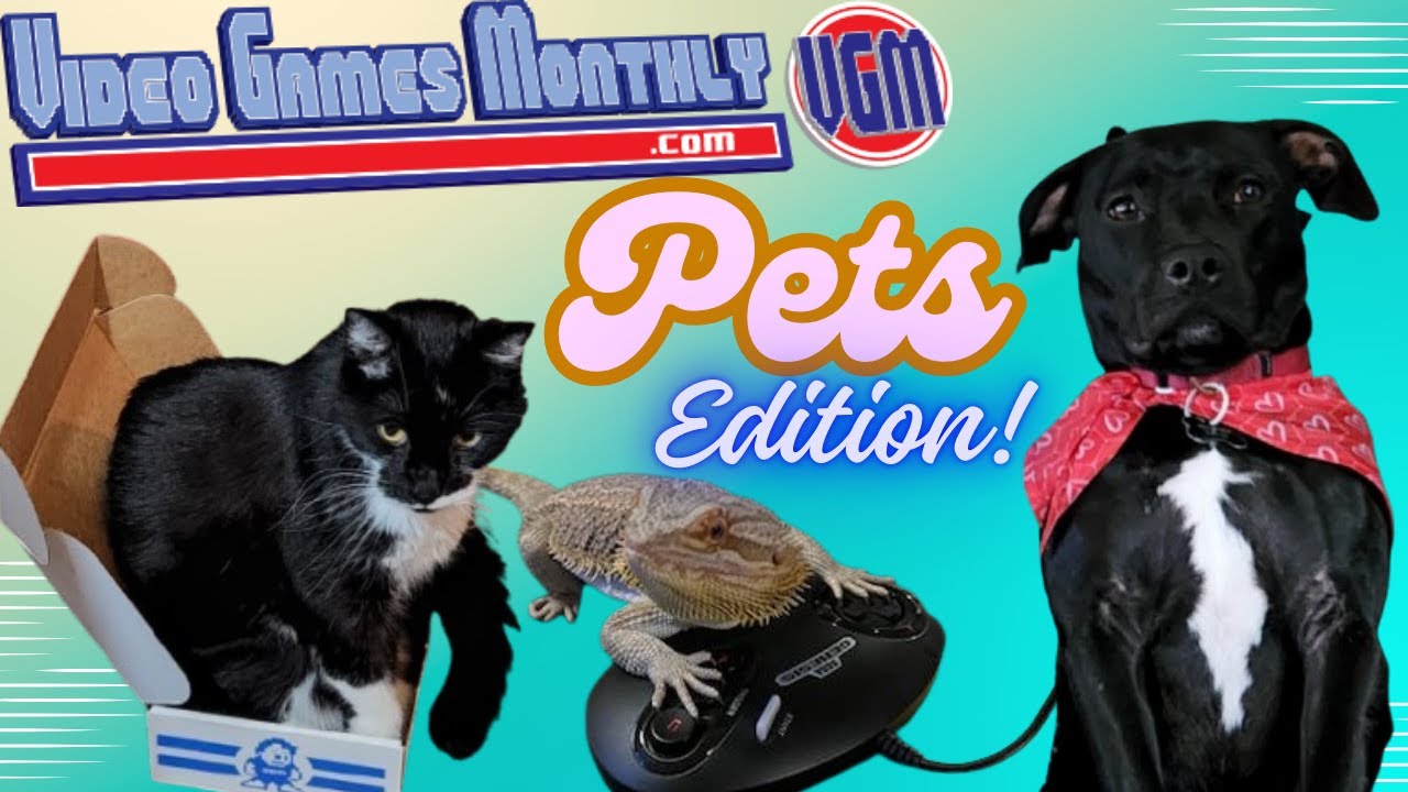 VGM Pets Edition -- Video Games Monthly - YouTube