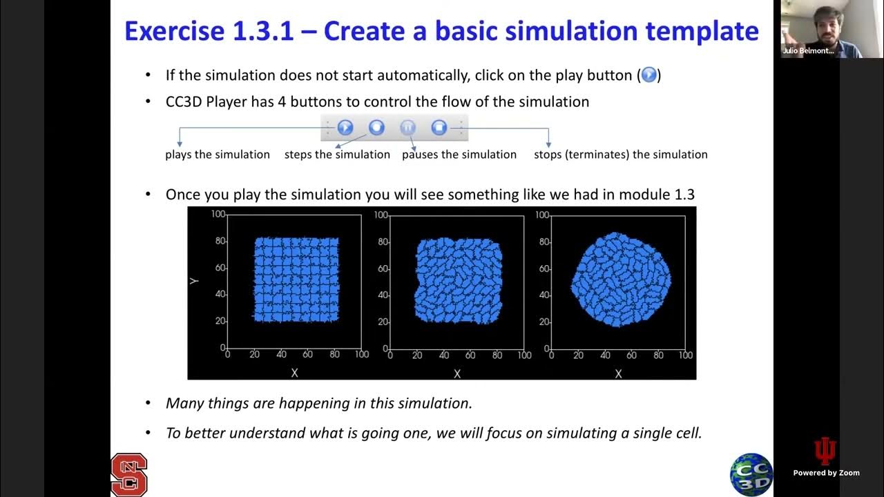 CompuCell3D Workshop 1.3 Cell Shapes August 1 2022 - YouTube
