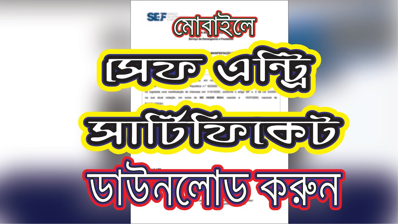 SEF REGISTRATION CERTIFICATE: HOW TO GET SEF ENTRY CERTIFICATE BY ...