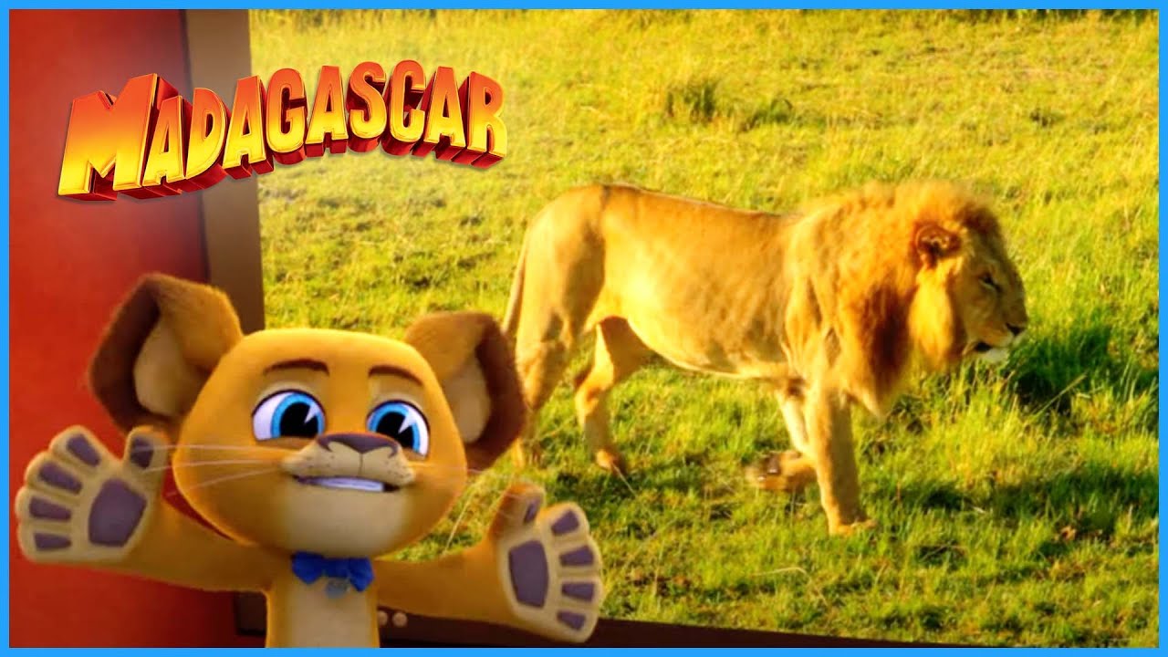 Mini Alex stays in the dream house | Madagascar: A Little Wild - YouTube