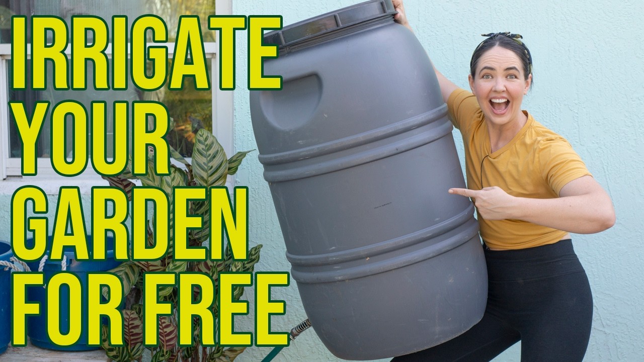 Gravity Fed Rain Harvesting Irrigation System From Recycled Materials ...