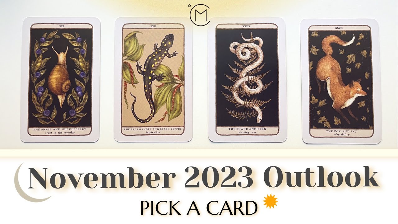 November 2023 Outlook 🍂👻 | Pick A Card Tarot Reading - YouTube