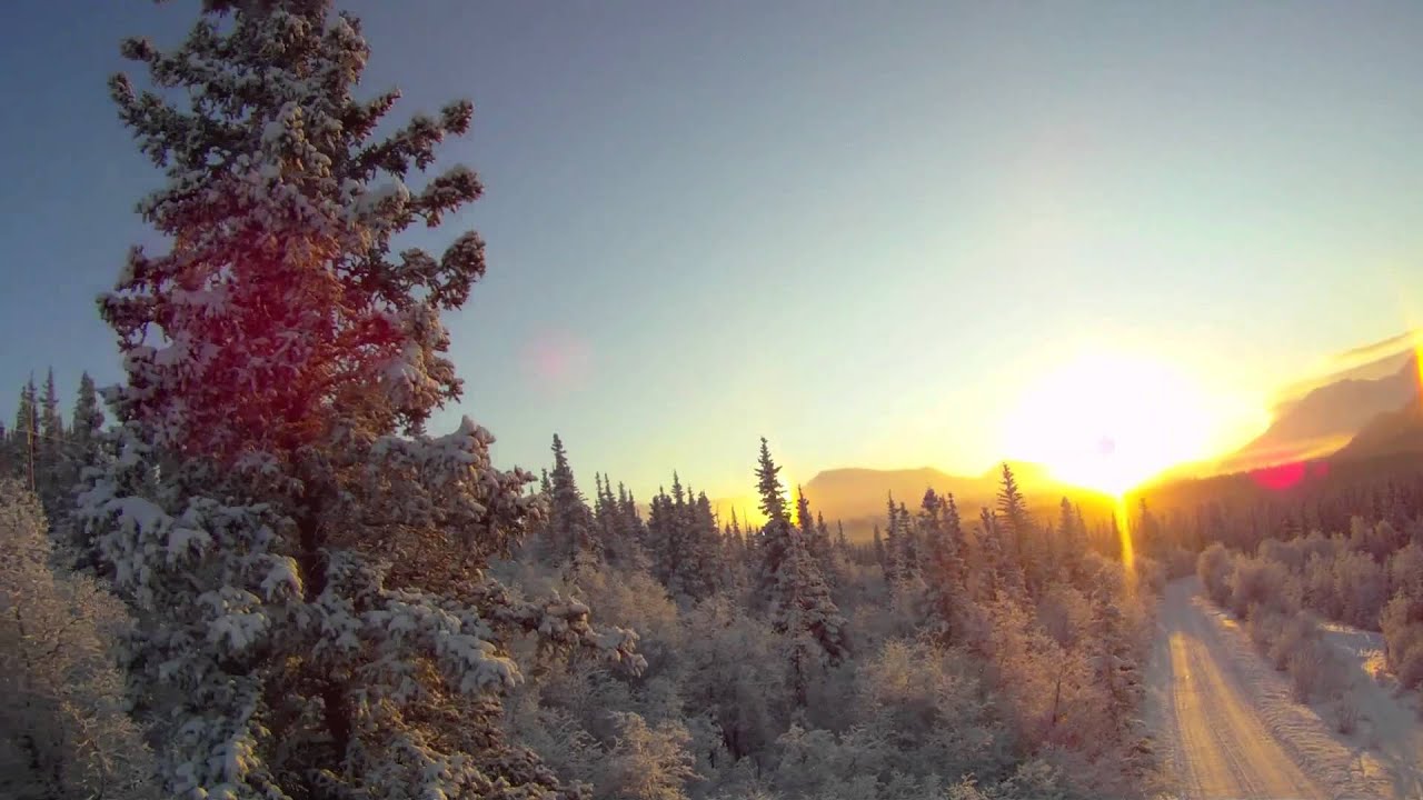 Happy Sun Dog New Year - Watch in HD! - YouTube