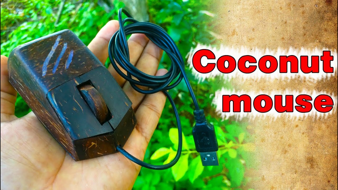 See How To Make A Computer Mouse Out Of Coconut Shells YouTube See How To Make A Computer Mouse Out Of Coconut Shells YouTube