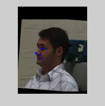 face landmark detection, multi-view - YouTube