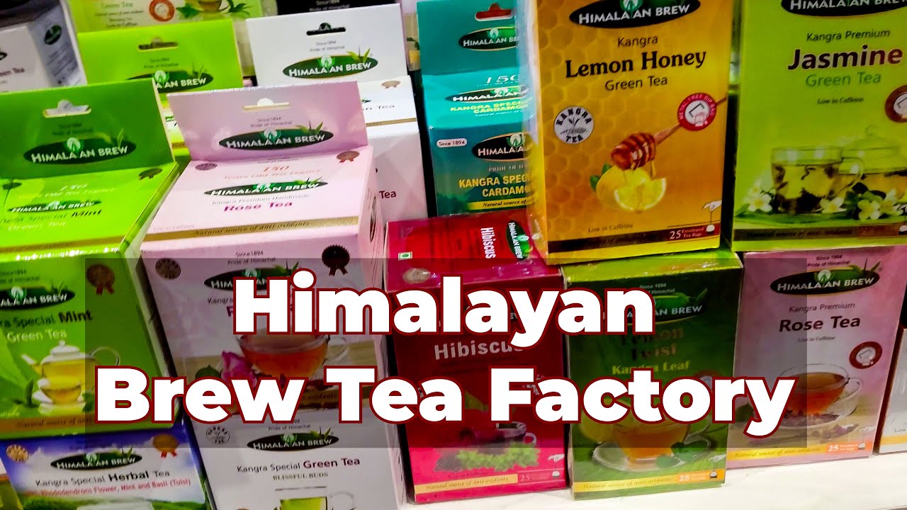 Himalayan Brew Tea Factory | FoodSant - YouTube