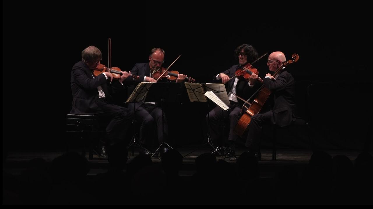 Quatuor Danel | Franz Schubert – Quartettsatz in C minor, D703 - YouTube
