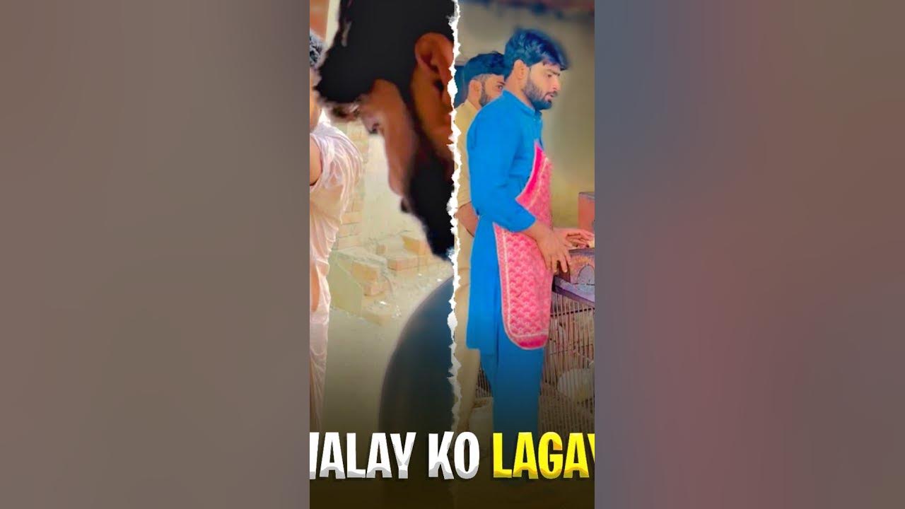Murghi Waly Ko Lagaya Choona 😂😂 - YouTube