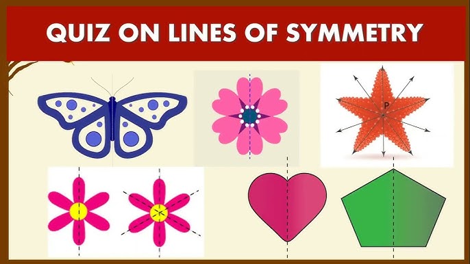 Lines Of Symmetry Projects