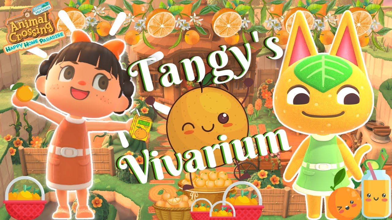 FUN in the SUN with TANGY | Let's Build a Vivid Vivarium for Tangy ...