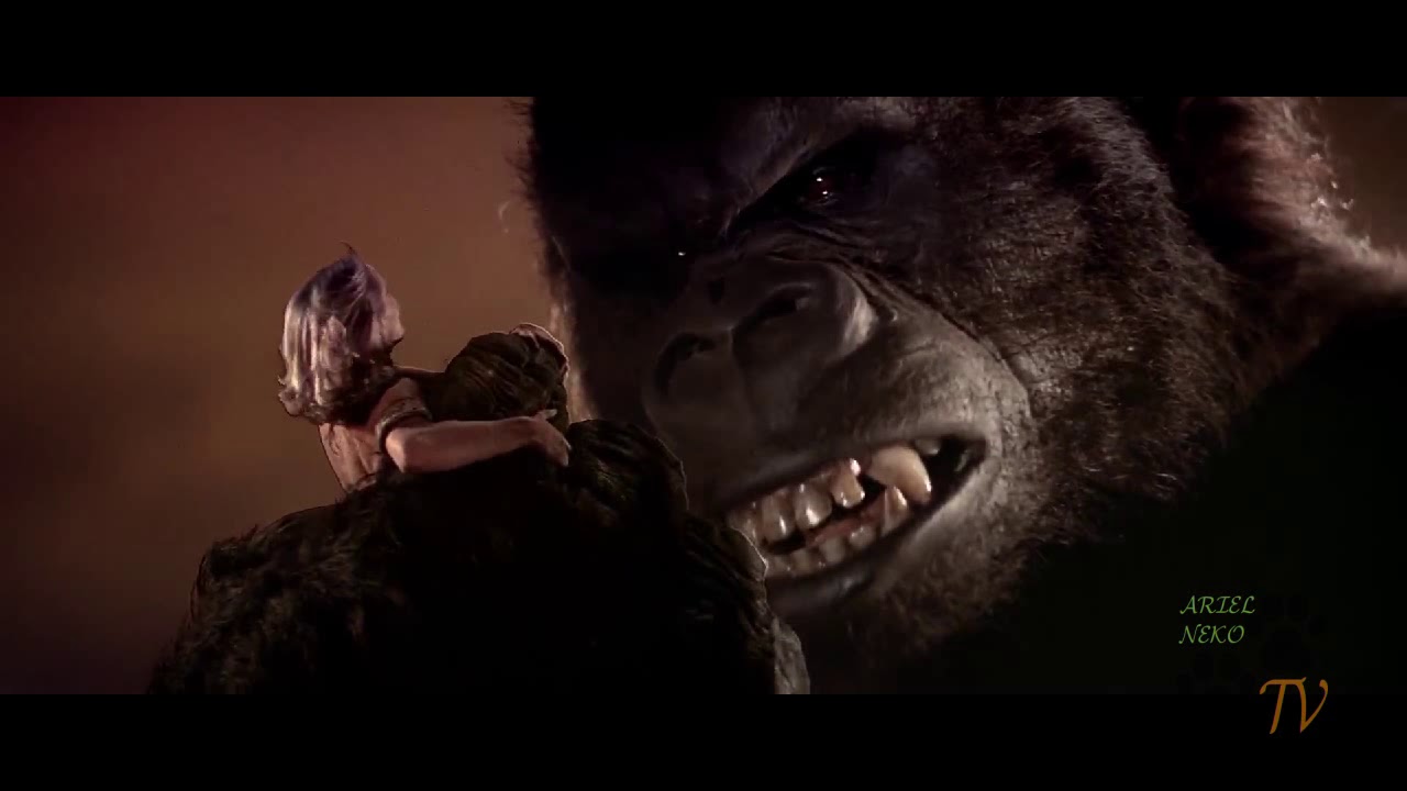 La bella e lo scimmione. - YouTube