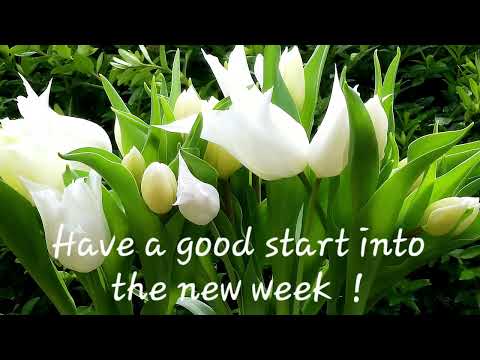 Have a good start into the new week ! - YouTube