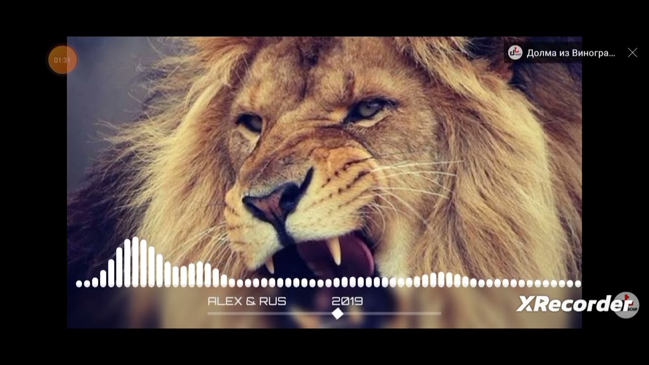 alex & rus song - YouTube