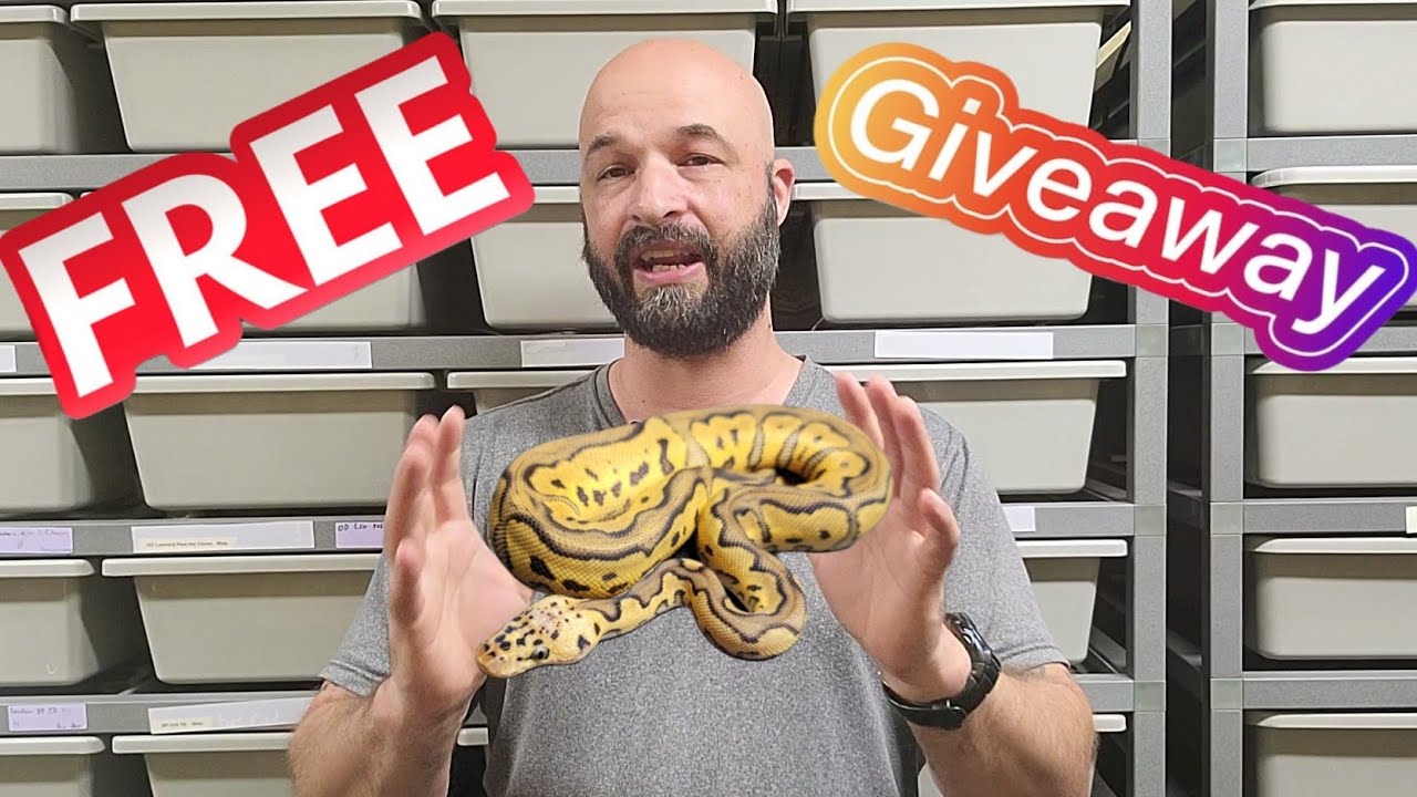 Official Drawing for the Winner of the Giveaway. Who will win? - YouTube