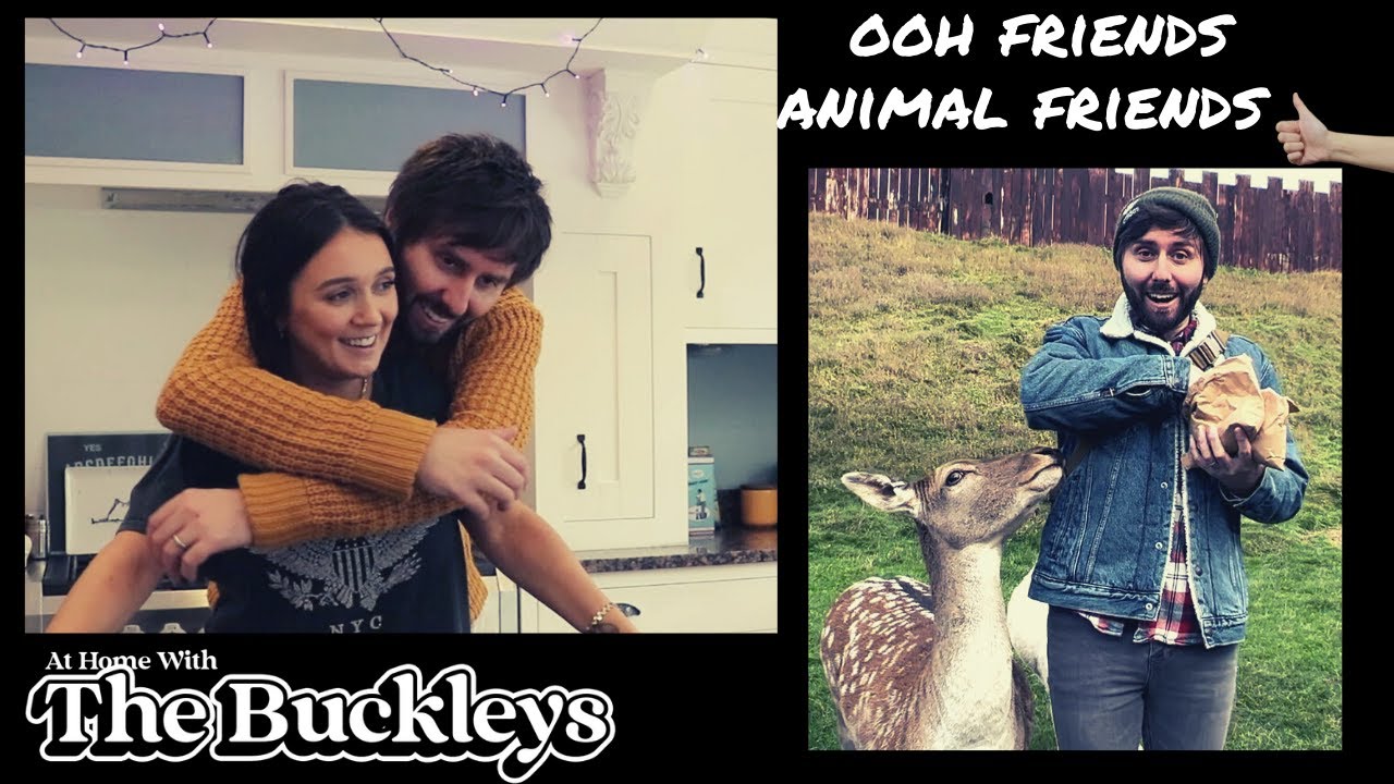 OOH FRIENDS! ANIMAL FRIENDS! 👍🏻 - YouTube