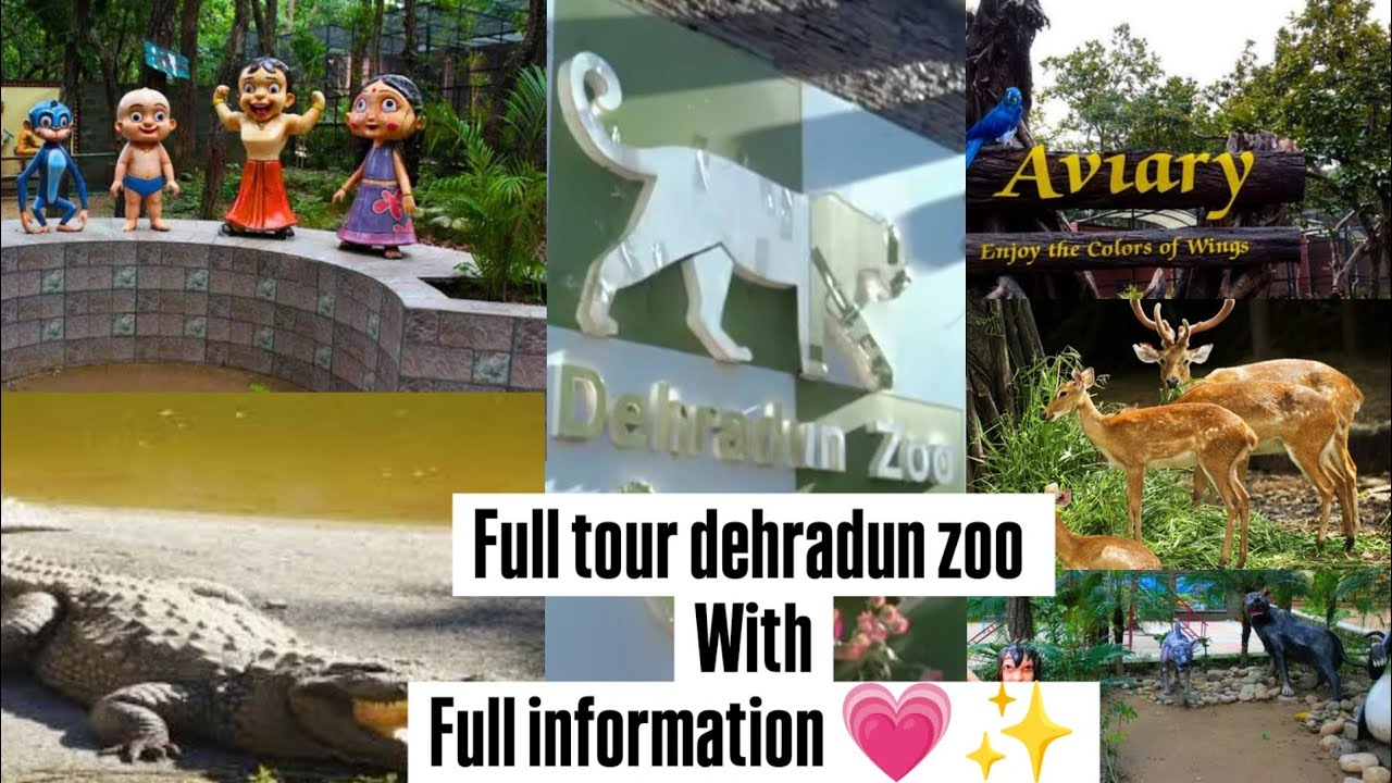 Dehradun zoo|| Full tour+full information Malsi deer park #dehradunzoo ...