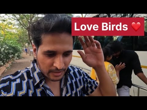 Love Birds ka Adda ️ - YouTube