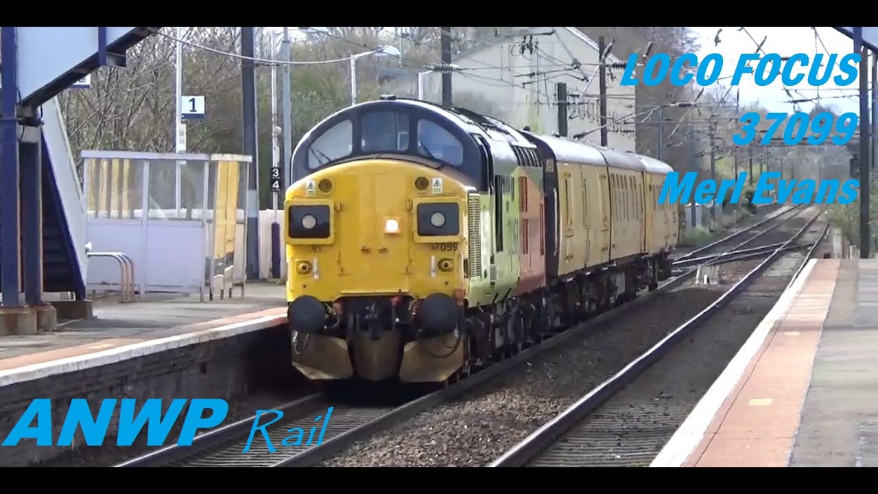 ANWP Rail Loco Focus 37099 Merl Evans - YouTube