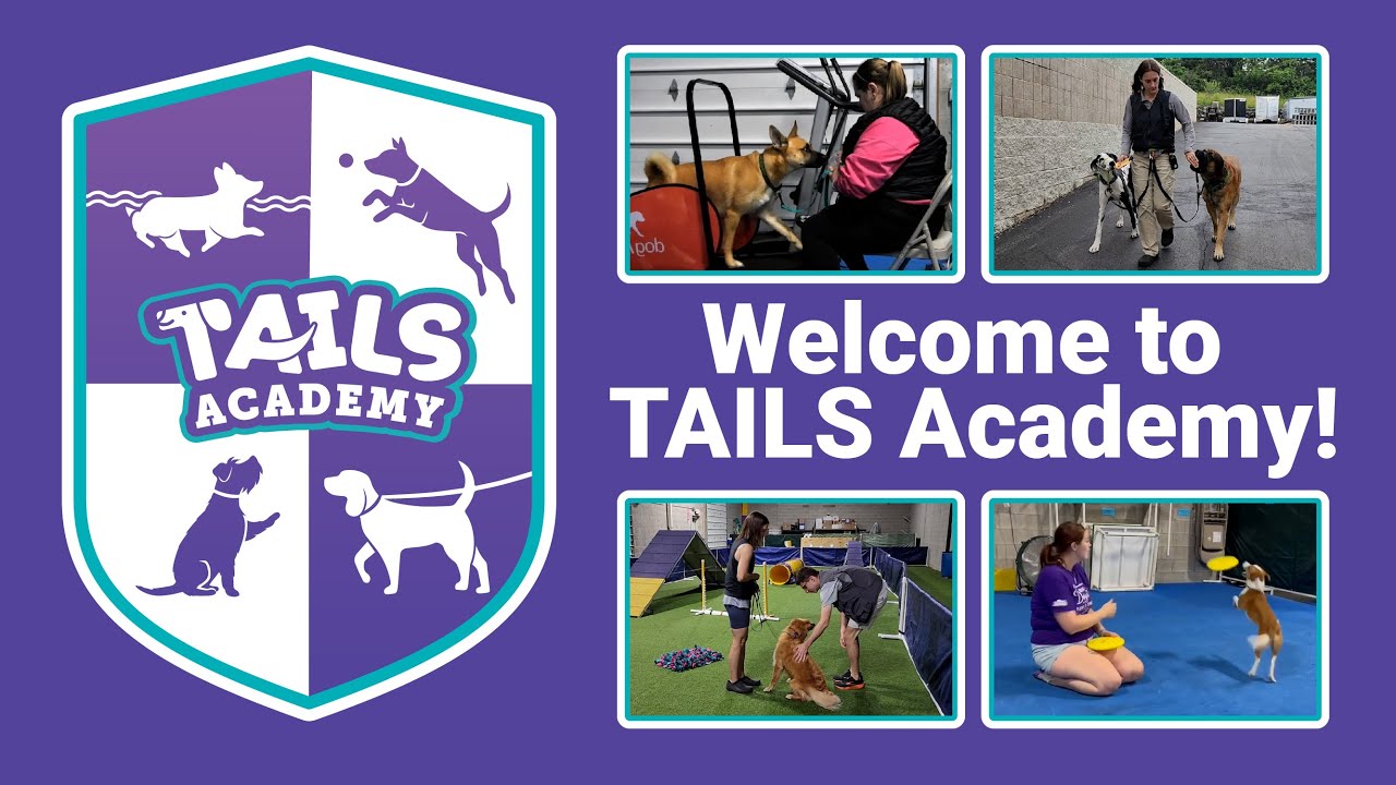Welcome to TAILS Academy! - YouTube