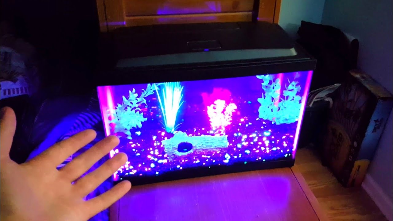 MY NEW GLO-FISH TANK - YouTube