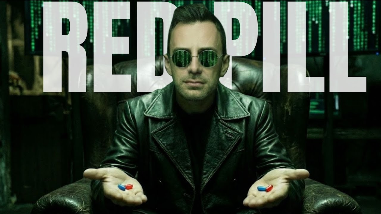 La Teoria della Red Pill SPIEGATA. (seriamente) - YouTube