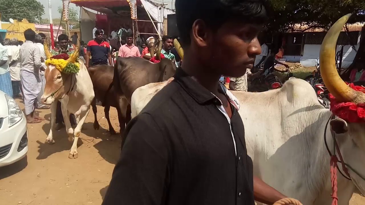 Manakkarai mattu vandi poddi parisallippu - YouTube