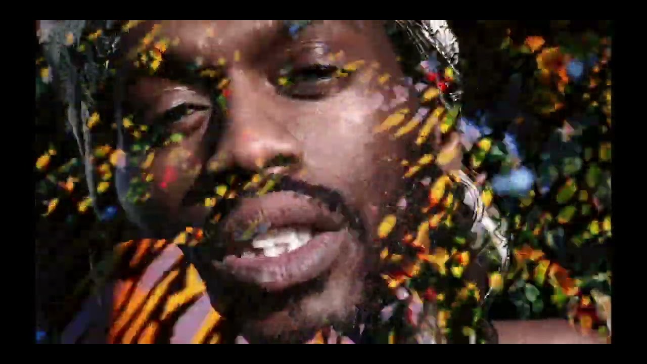 Blake Anthony & Wffls "Blue Rose" - YouTube