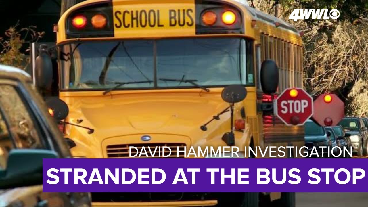 Stranded at the bus stop: Shortage of drivers, permitted school buses ...