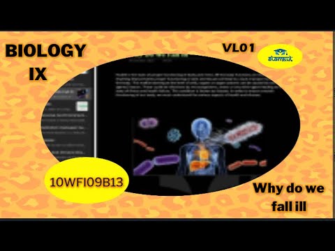 10WFI09B13 L01 Why do we fall ill - YouTube