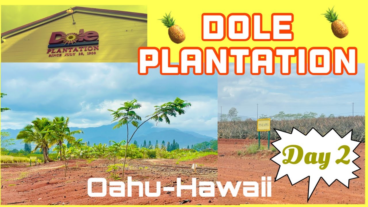 Oahu-Hawaii - Visiting The Dole Plantation Farm - YouTube