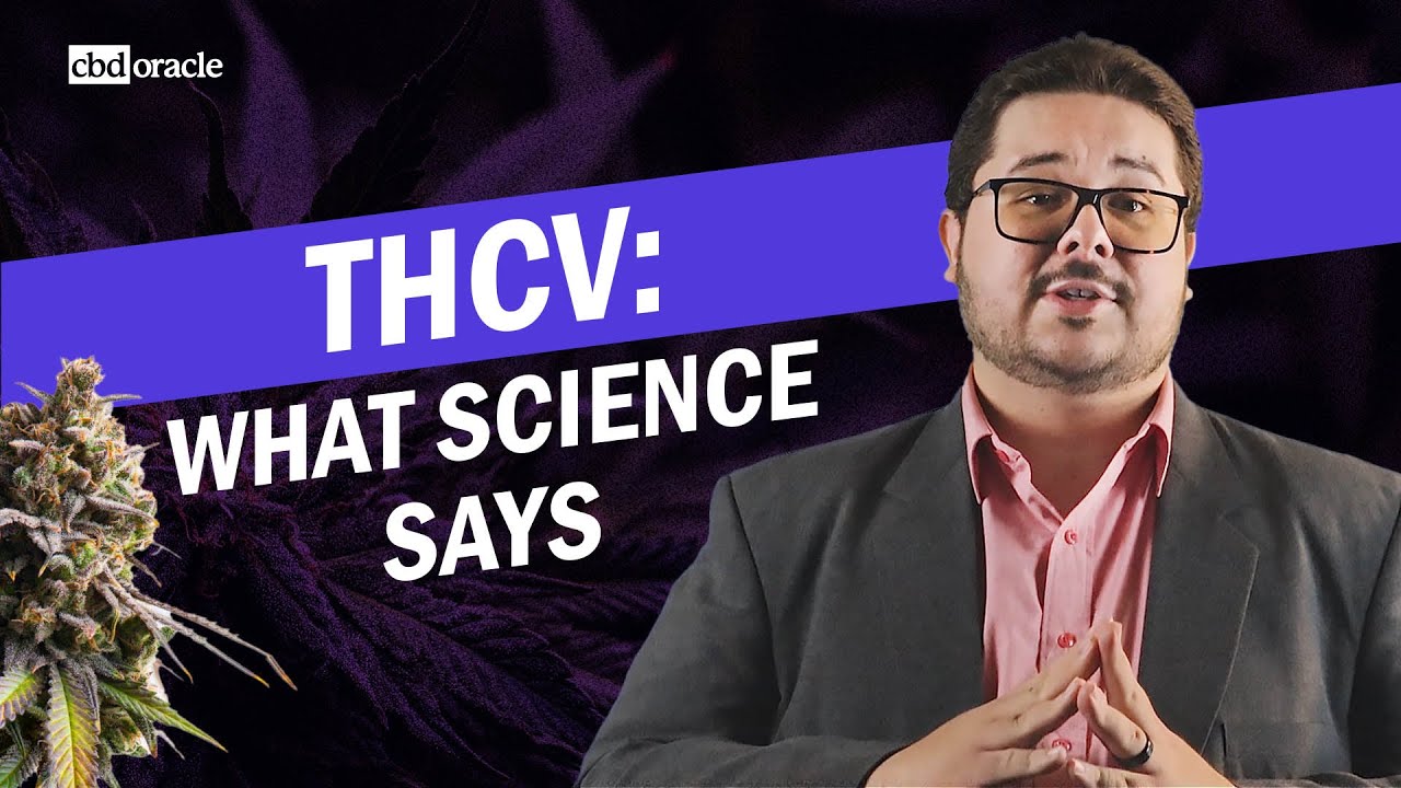 is-thcv-good-for-weight-loss-youtube